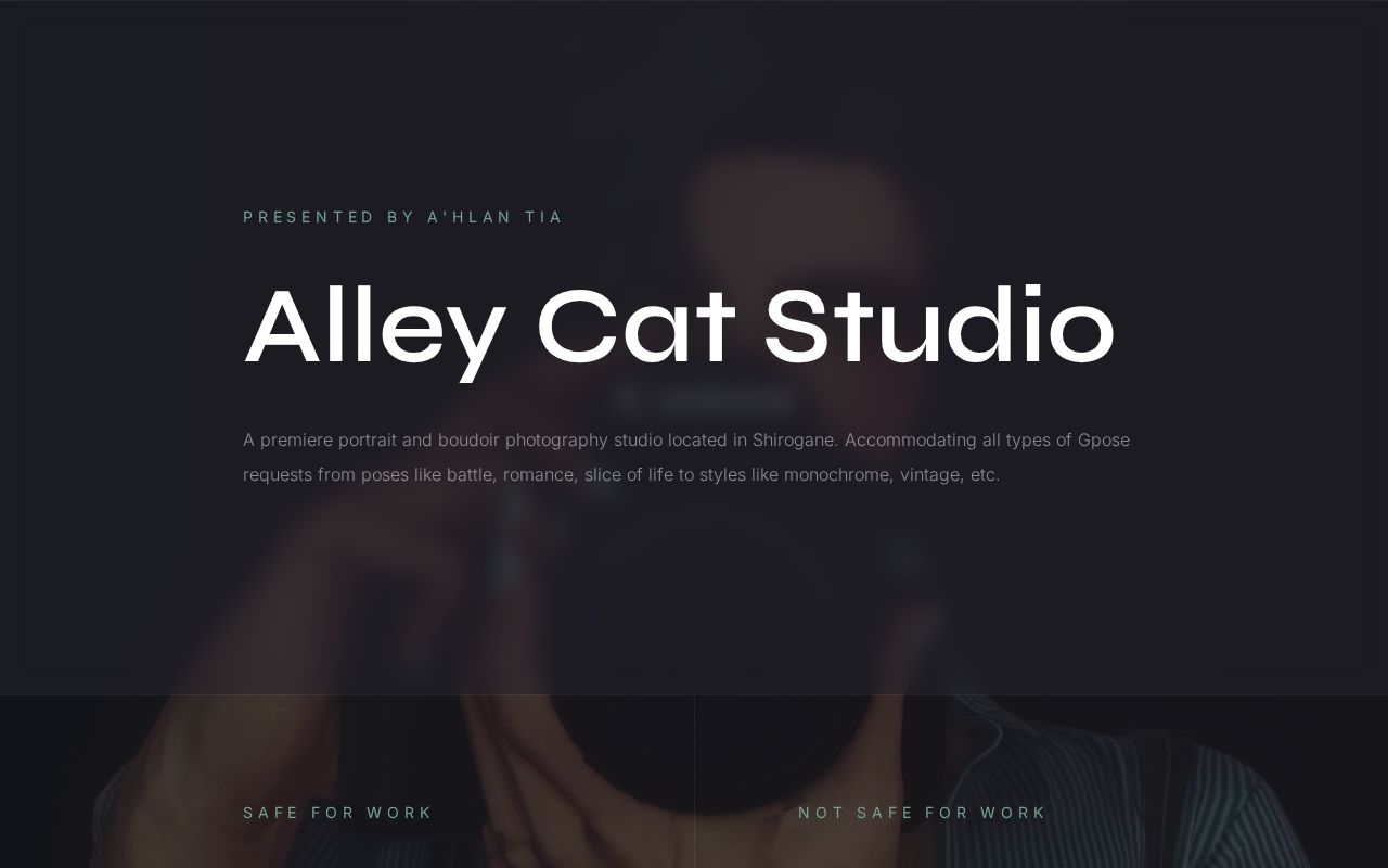 Alley Cat Studio